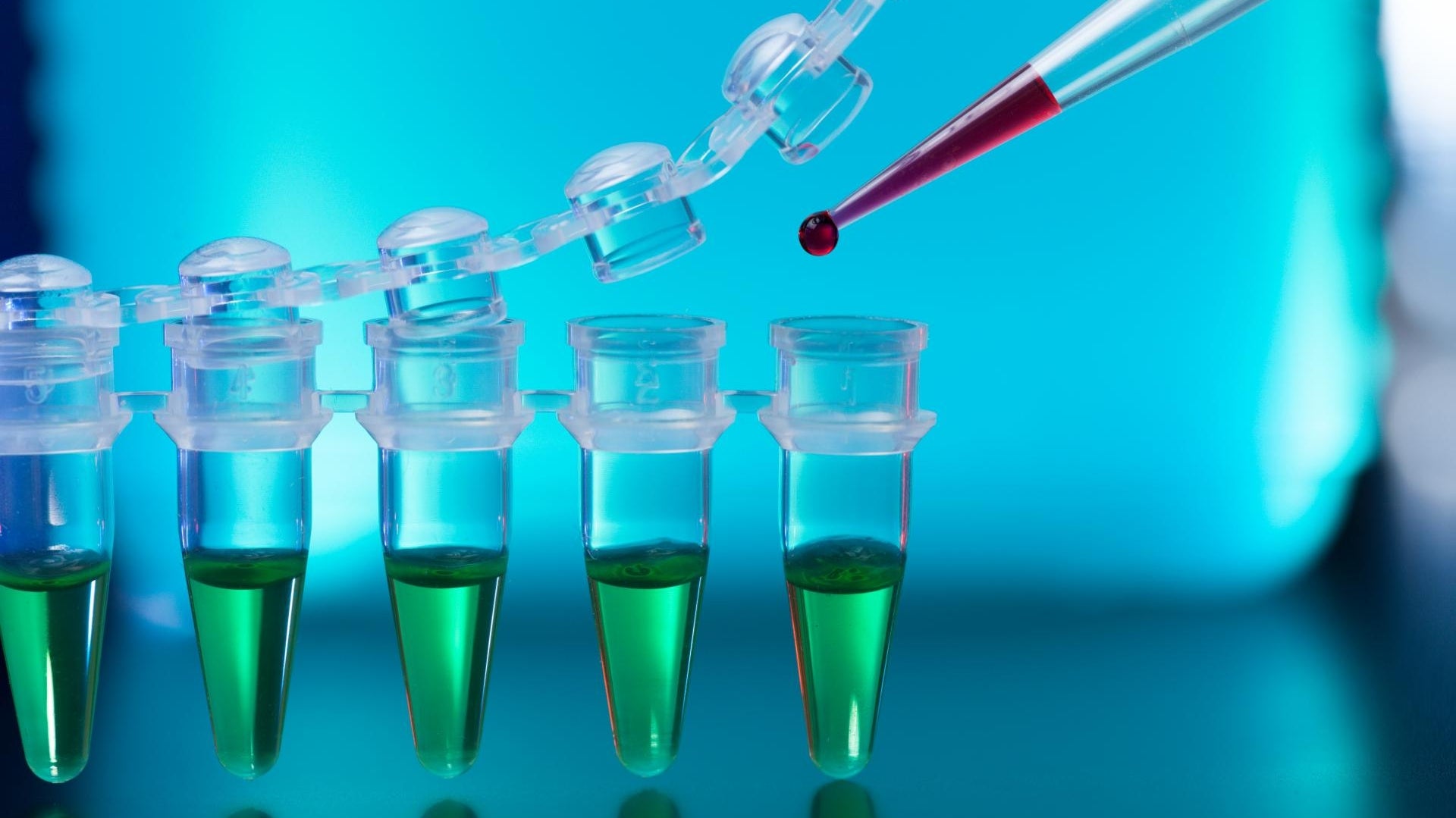 Direct PCR / Genotyping