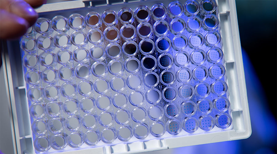 Micro Array Services