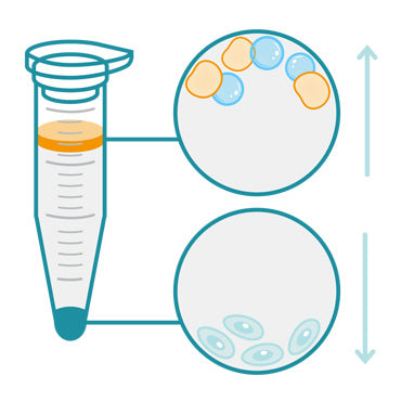Cell Separation