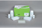 AccuPrep® Genomic DNA Extraction Kit for 96 well vacuum block (96 well